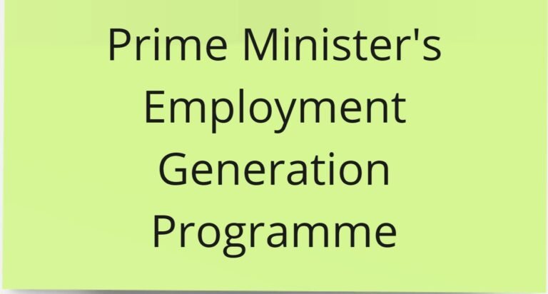 A Look At Subsidies For Entrepreneurs In India - 2025