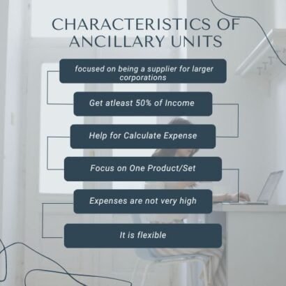 What is Ancillary Units (2025) - Entrepreneur Dost
