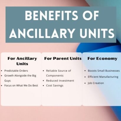 What is Ancillary Units (2025) - Entrepreneur Dost